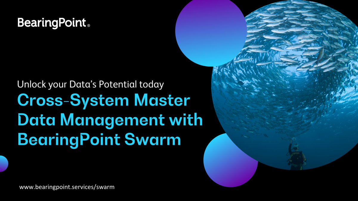 Cross-System Master Data Management | Swarm