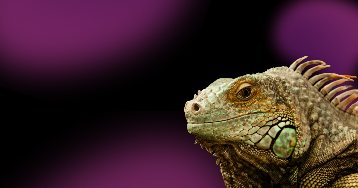 Pentesting Guide 2025: Anforderungen & Best Practices | IT Security